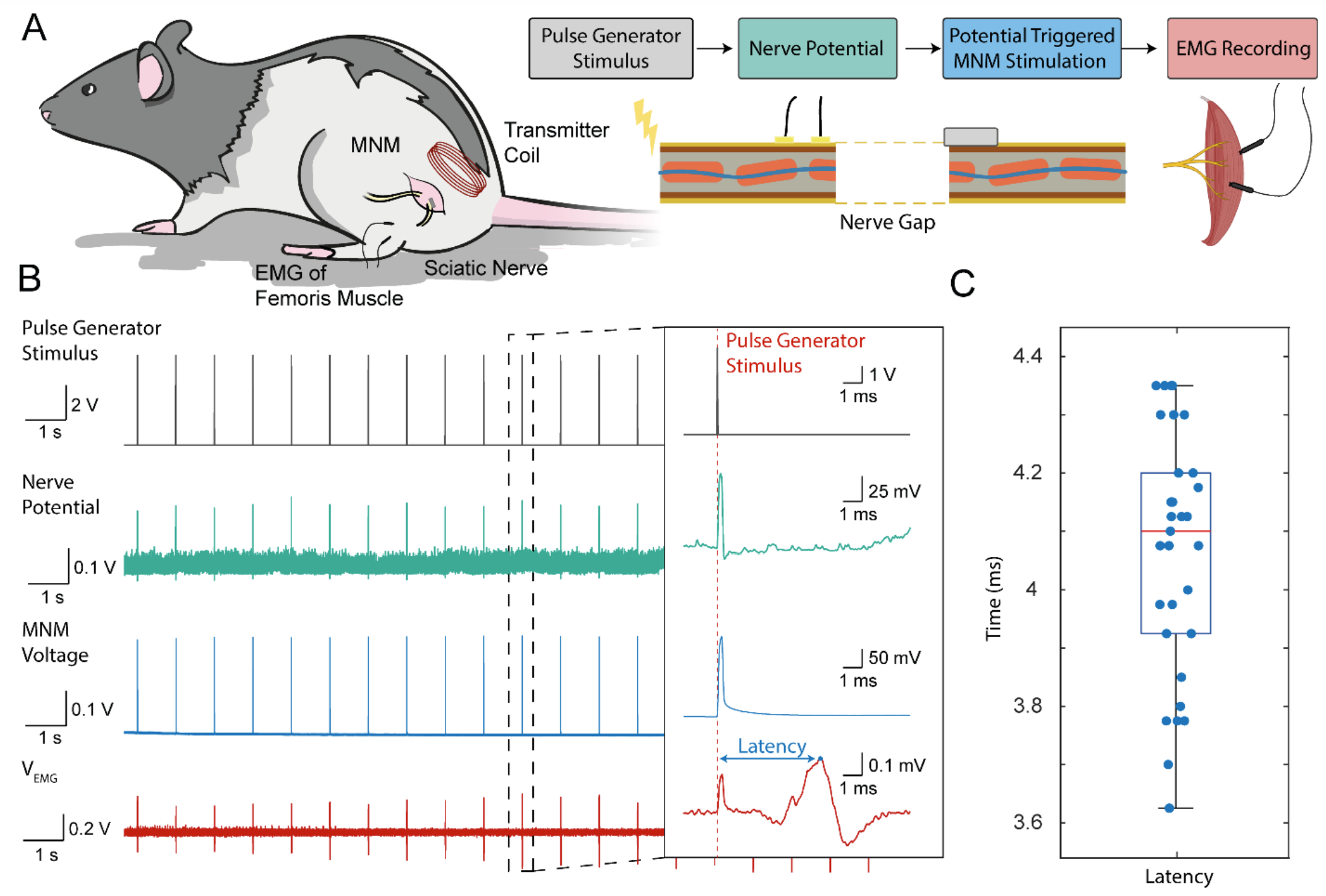 New Bionic nerve material: possible neural stimulation technique for ...